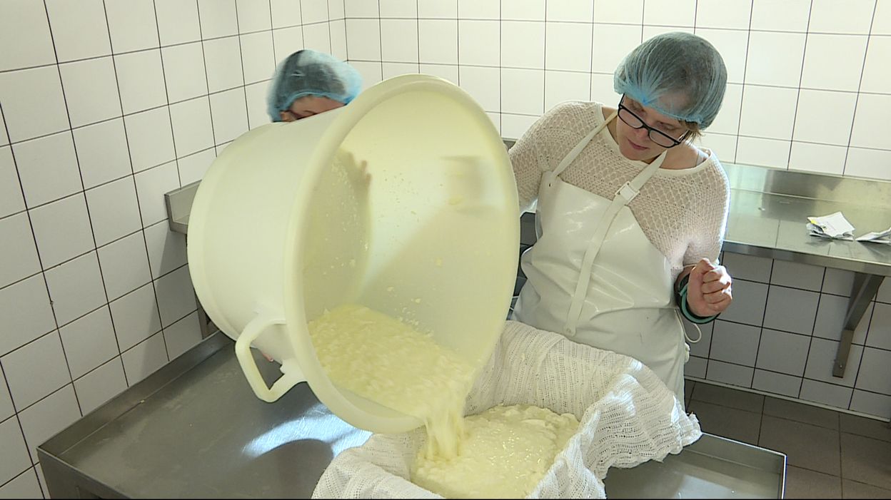 CAP 48: devenir fromager malgré le handicap - RTBF Actus