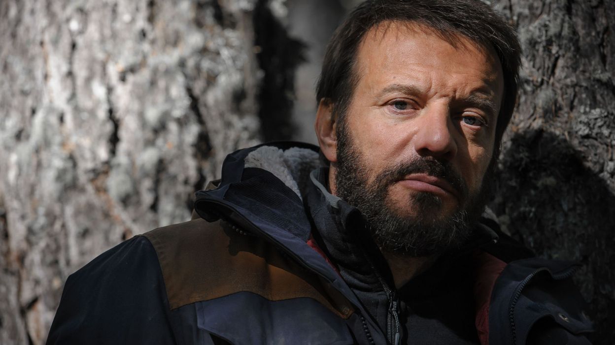 Samuel Le Bihan : 'Il y aura trois nouveaux épisodes d'Alex Hugo en ...