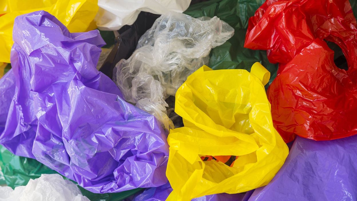Une Jeune Femme De 23 Ans Crée Un Bioplastique Qui Se Décompose En 6
