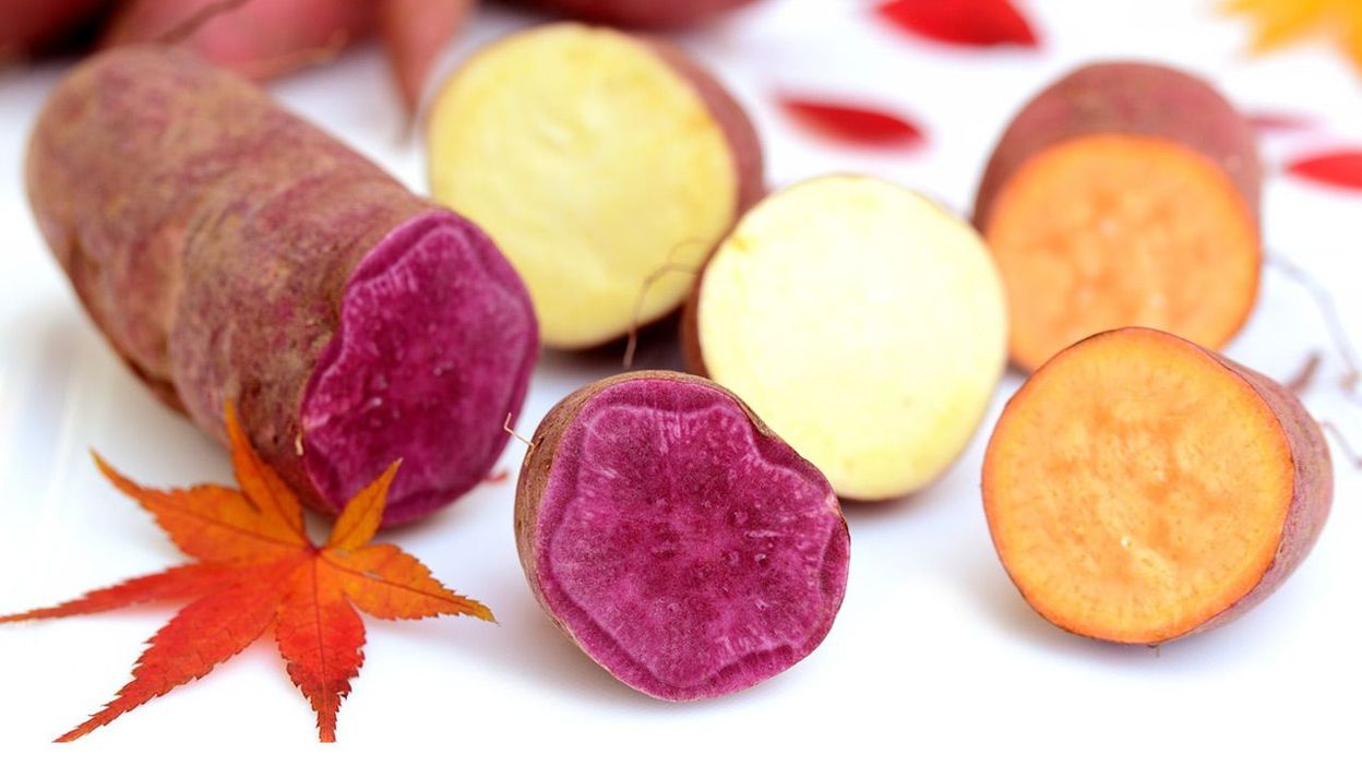 L'histoire de la patate à découvrir à Evere! - RTBF Actus