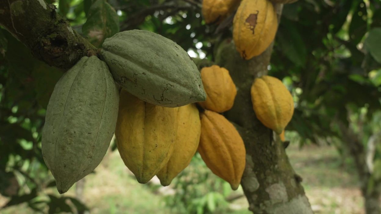 Jan Boone (Lotus Bakeries) et Dirk Van de Put (Mondelez International ...