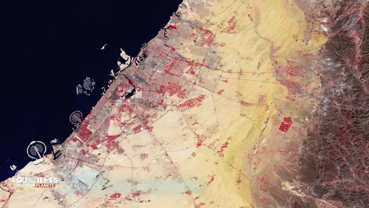 The Line, une ville futuriste de 170 km de long en Arabie saoudite : où ...
