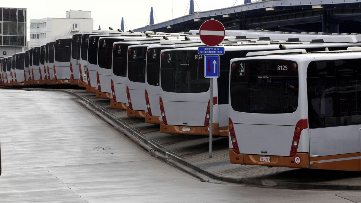 Job Day: la STIB recherche 70 nouveaux chauffeurs de bus - RTBF Actus