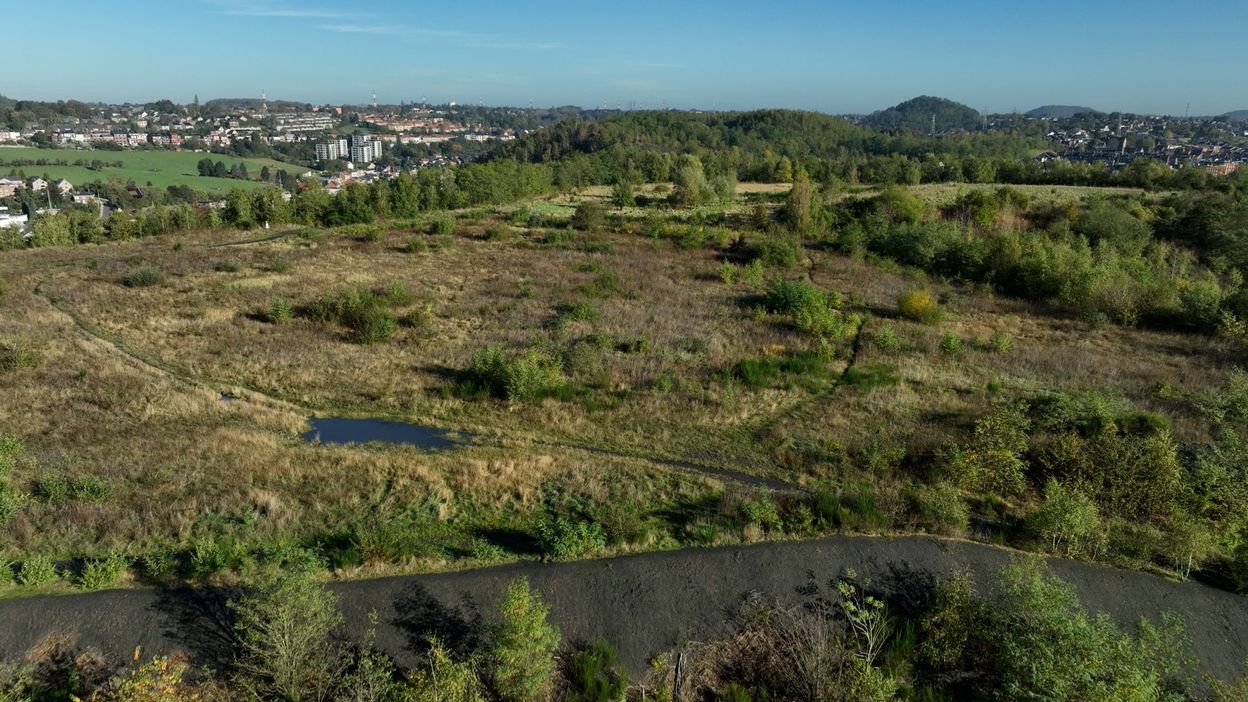 Découvrez où se trouve la plus belle prairie de Wallonie - RTBF Actus