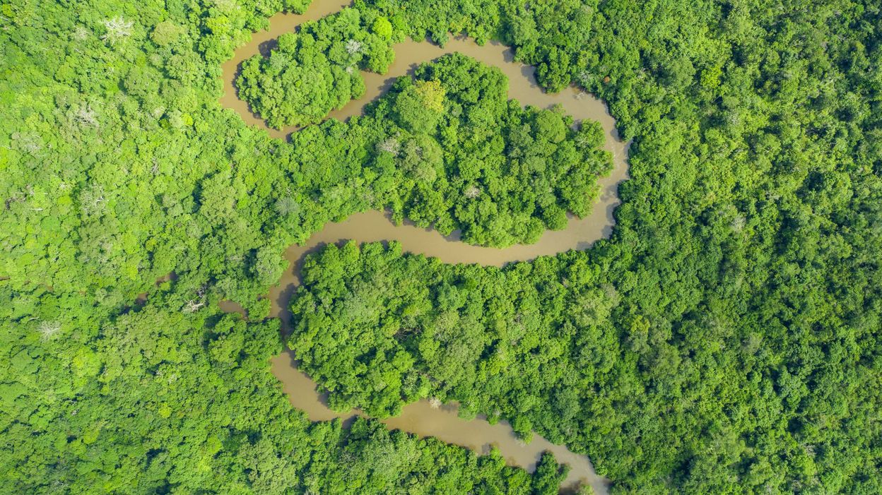 La forêt tropicale congolaise est désormais le 'premier poumon' de la ...