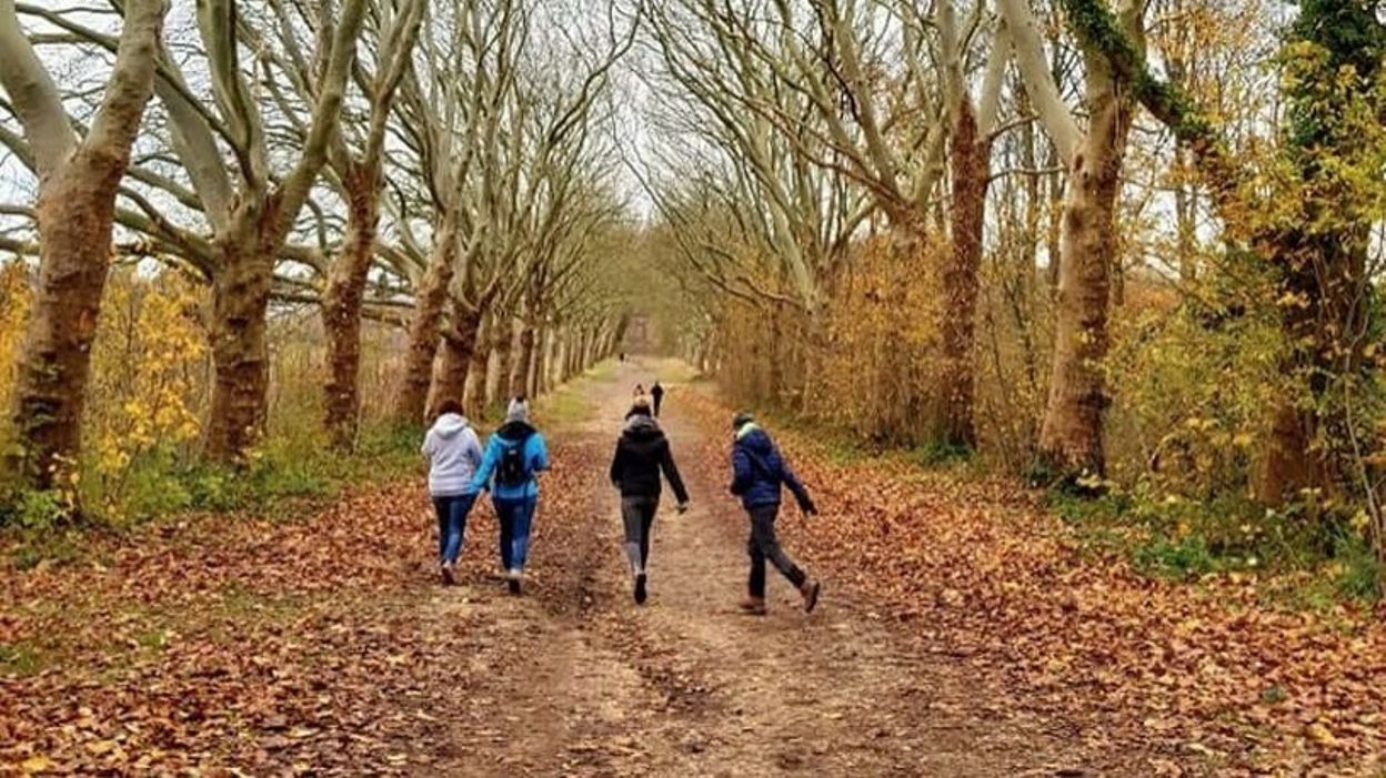 Les 9 marches Adeps du dimanche 3 décembre en Wallonie - RTBF Actus