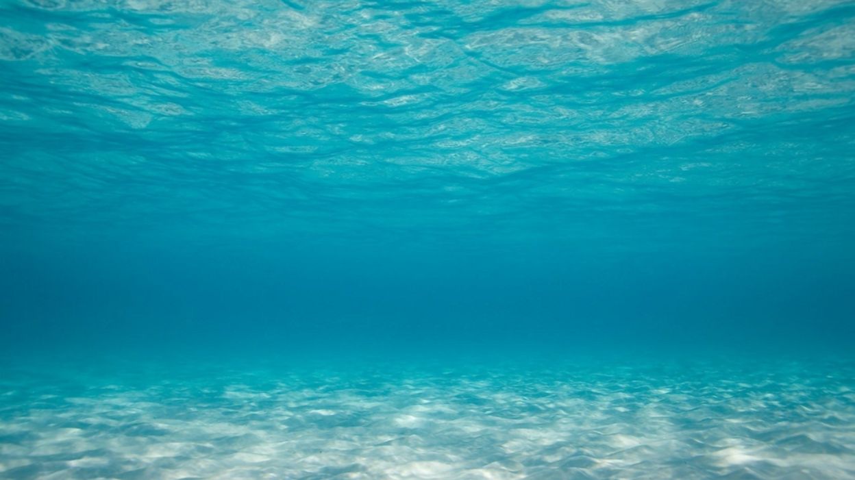 Les bienfaits de la baignade en mer... - RTBF Actus