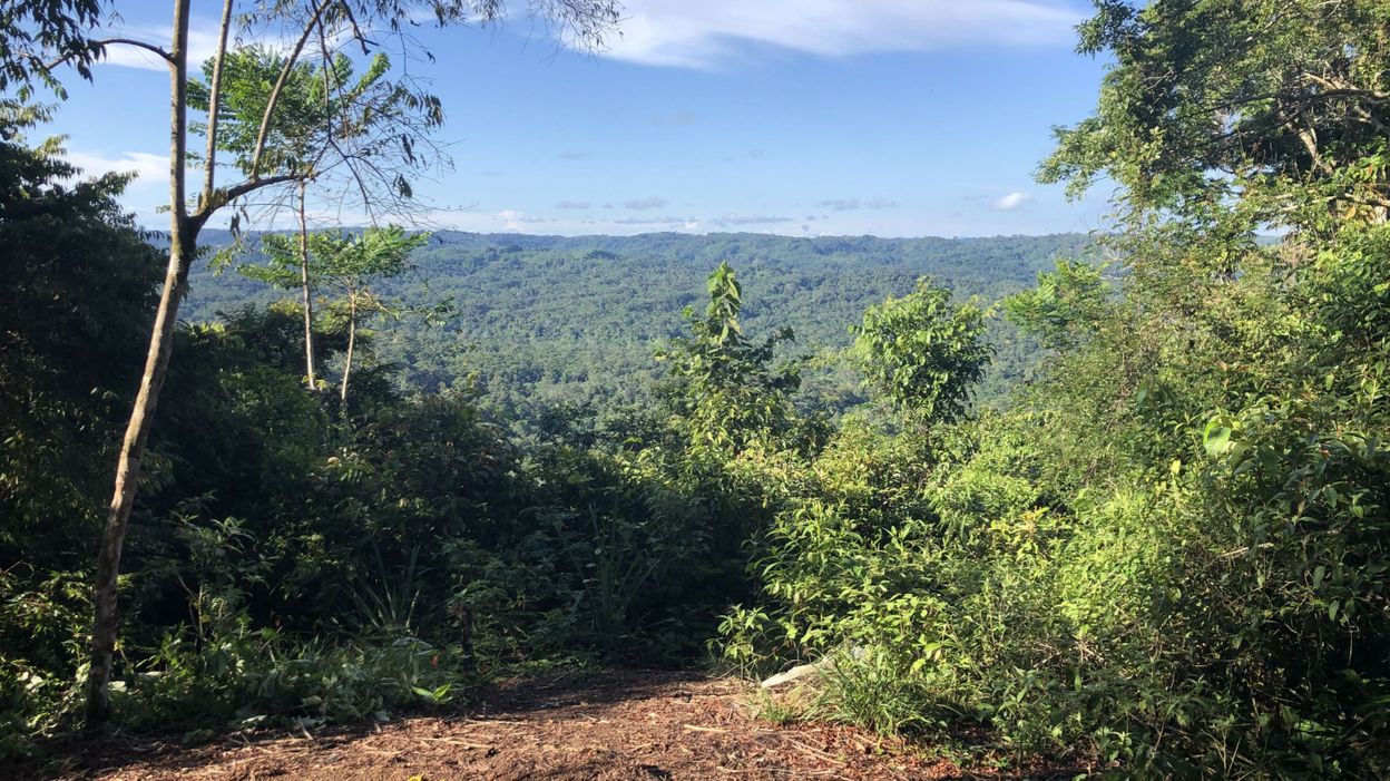 A la Frontière de Vie, Grandeur Nature en Amazonie - RTBF Actus