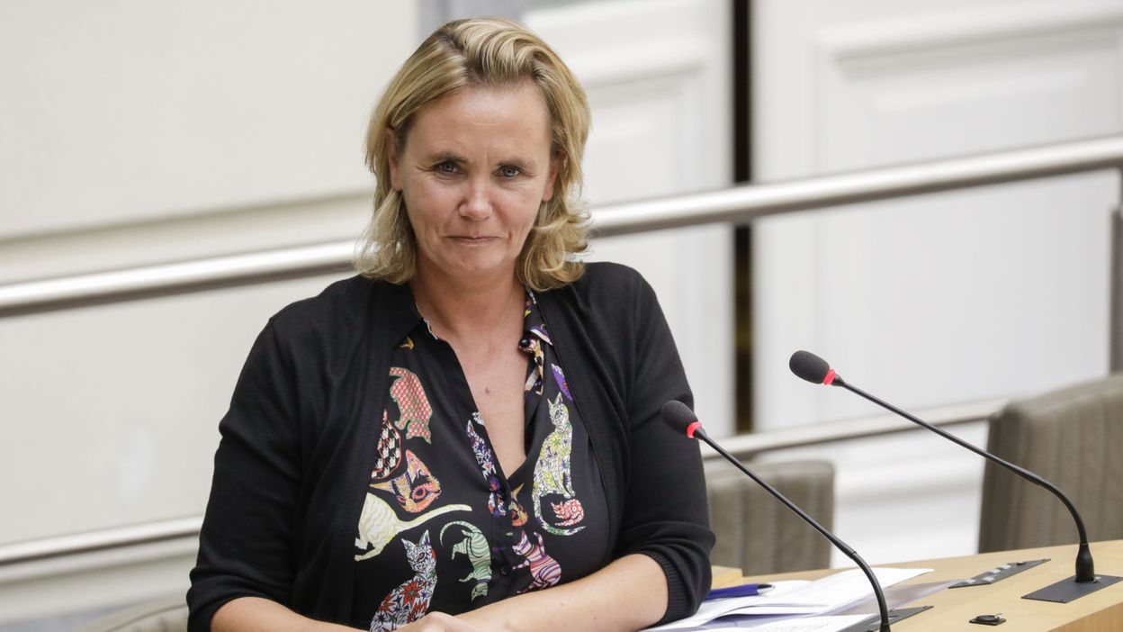 La ministre flamande Liesbeth Homans (N-VA) devra passer la nuit à l ...