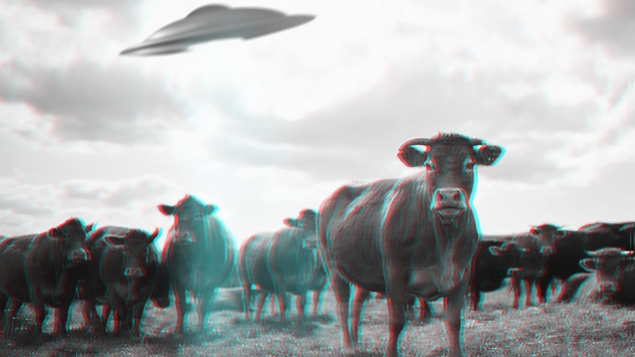 L’affaire Roswell : le témoignage du militaire Jesse Marcel, un ...
