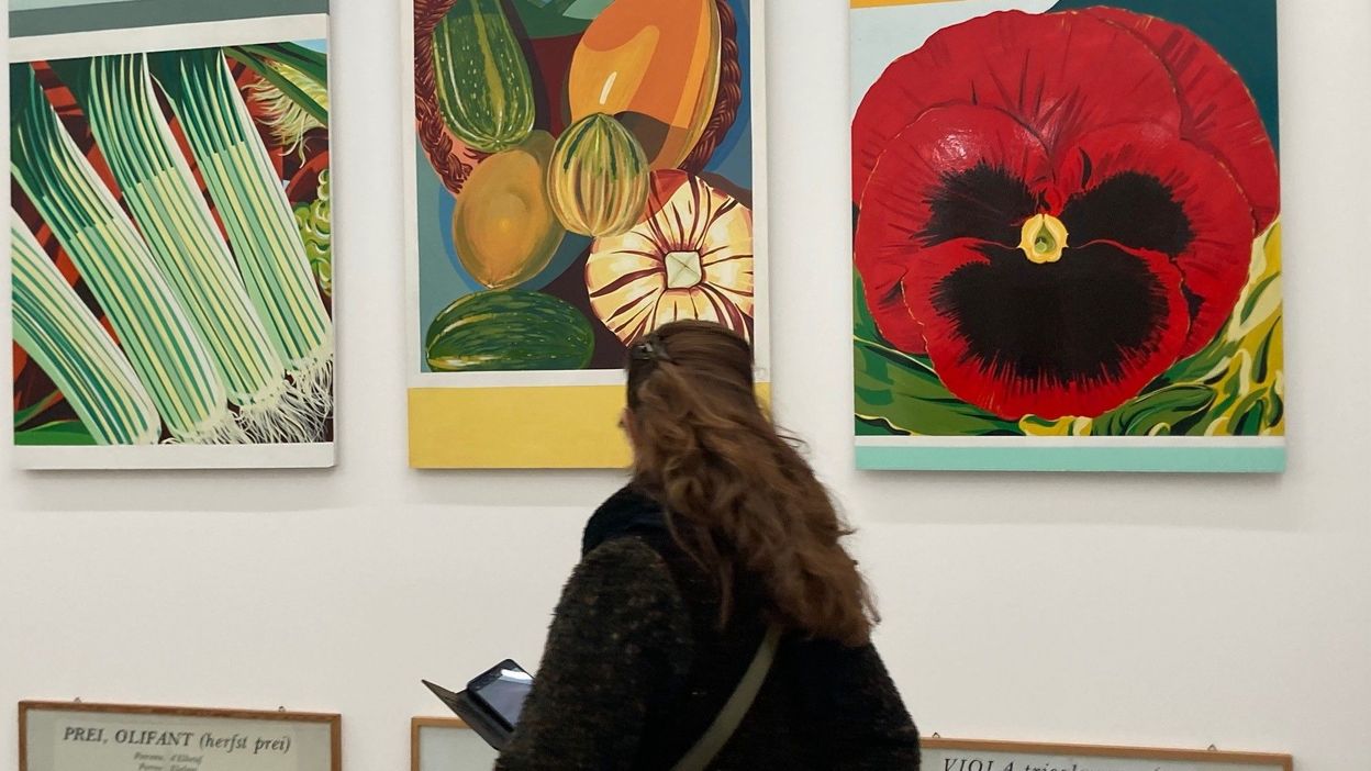Focus sur le métier d’artiste plasticienne avec Aline Bouvy - RTBF Actus