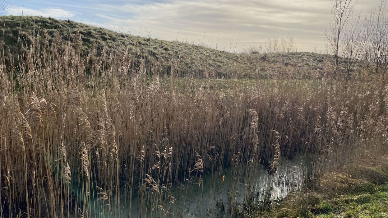 3 activités nature plutôt surprenantes à découvrir à Coxyde - RTBF Actus