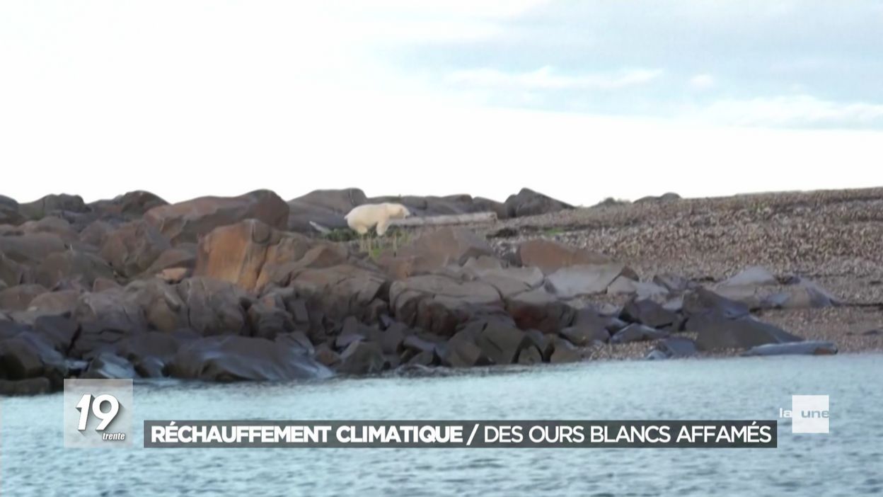 Arctique : une banquise fragile et… très convoitée ! - RTBF Actus