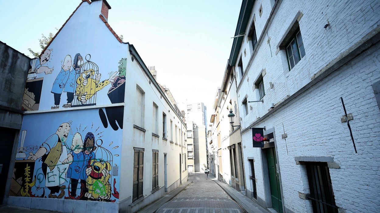 Rochehaut: la balade des échelles fait de l'ombre aux autres promenades ...