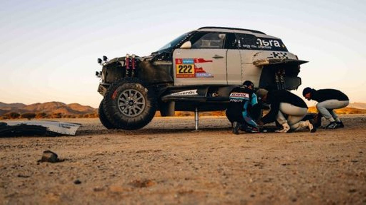 Le moloch hérissé, ce lézard qui boit de l'eau par les pieds - RTBF Actus