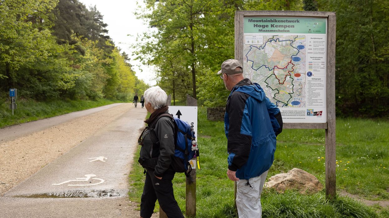 Rochehaut: la balade des échelles fait de l'ombre aux autres promenades ...