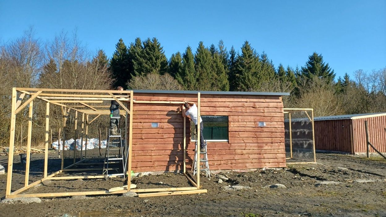 On a visité pour vous le ZooParc de la Vallée de la Sûre à Vaux-sur ...