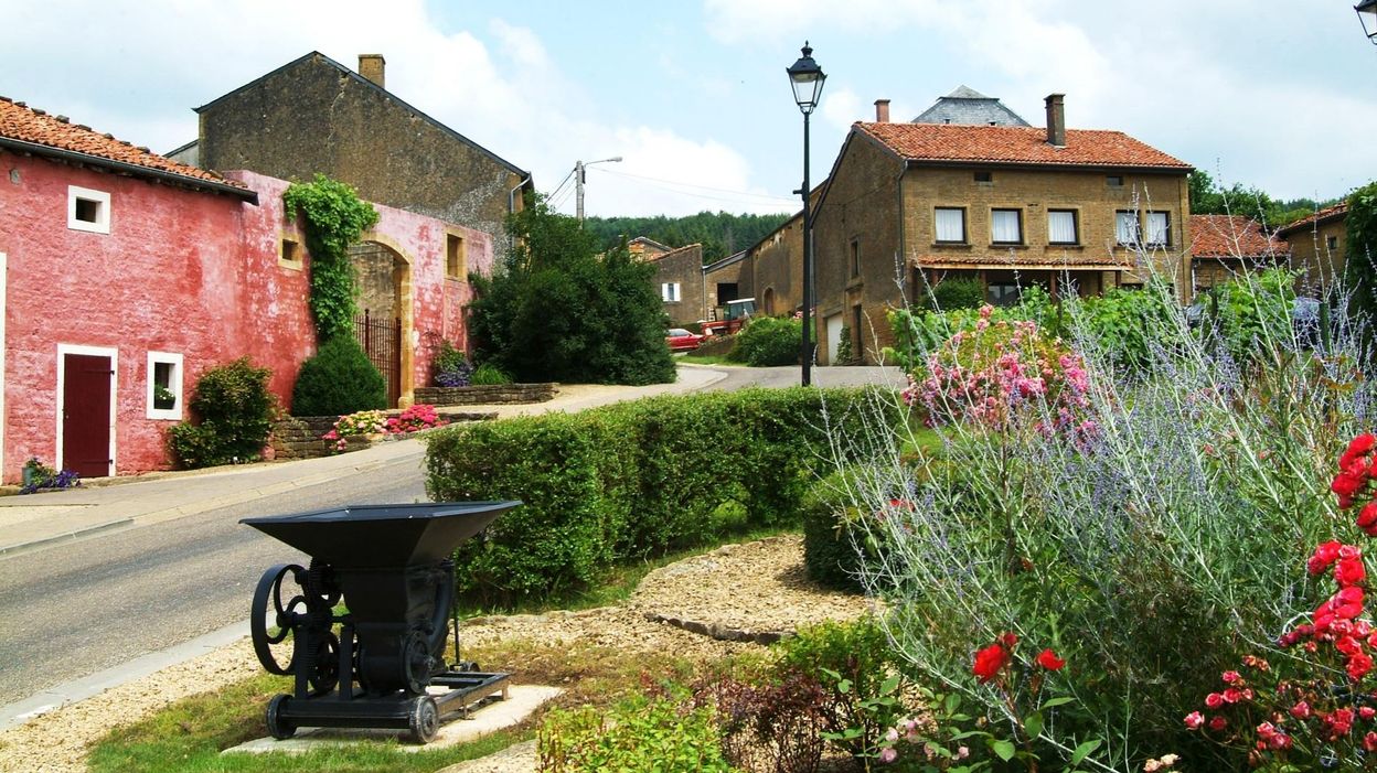 Torgny : la fiche complète - RTBF Actus