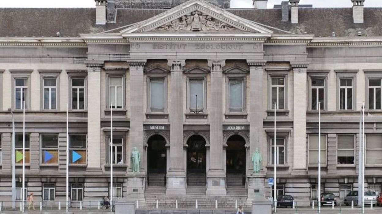 L'Aquarium-Museum de Liège va se moderniser - RTBF Actus