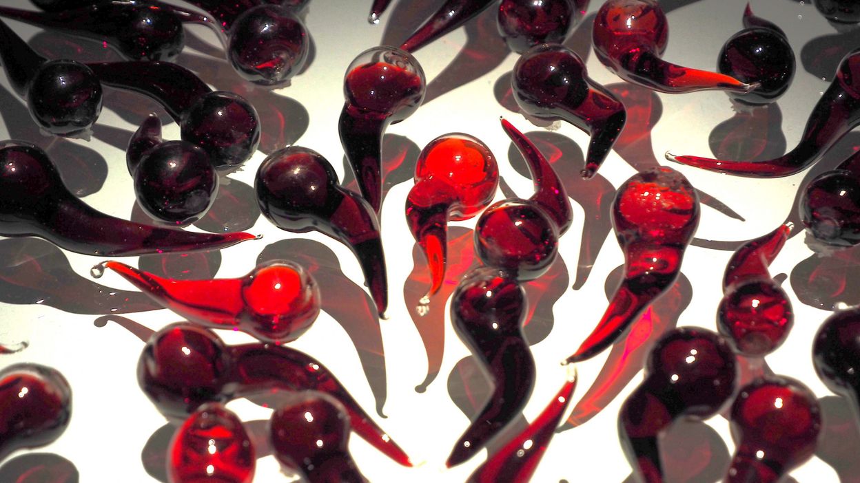 Laurence Dervaux au corps à corps avec la vie. Rétrospective au BPS22 ...