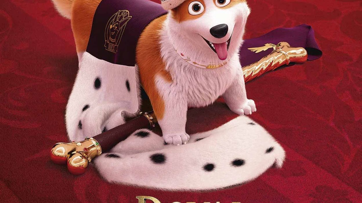 Tout savoir sur les Welsh Corgi, la race de chien préférée de la Reine ...