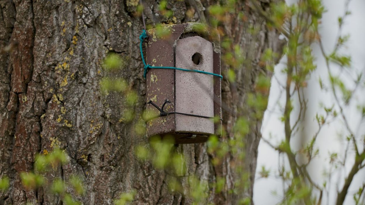 Les 'Nichoirs connectés' du Jardin Extraordinaire sont disponibles ...