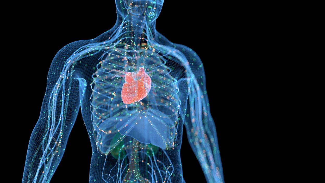 Le pacemaker : quel rôle joue-t-il pour le corps humain et comment s'en ...