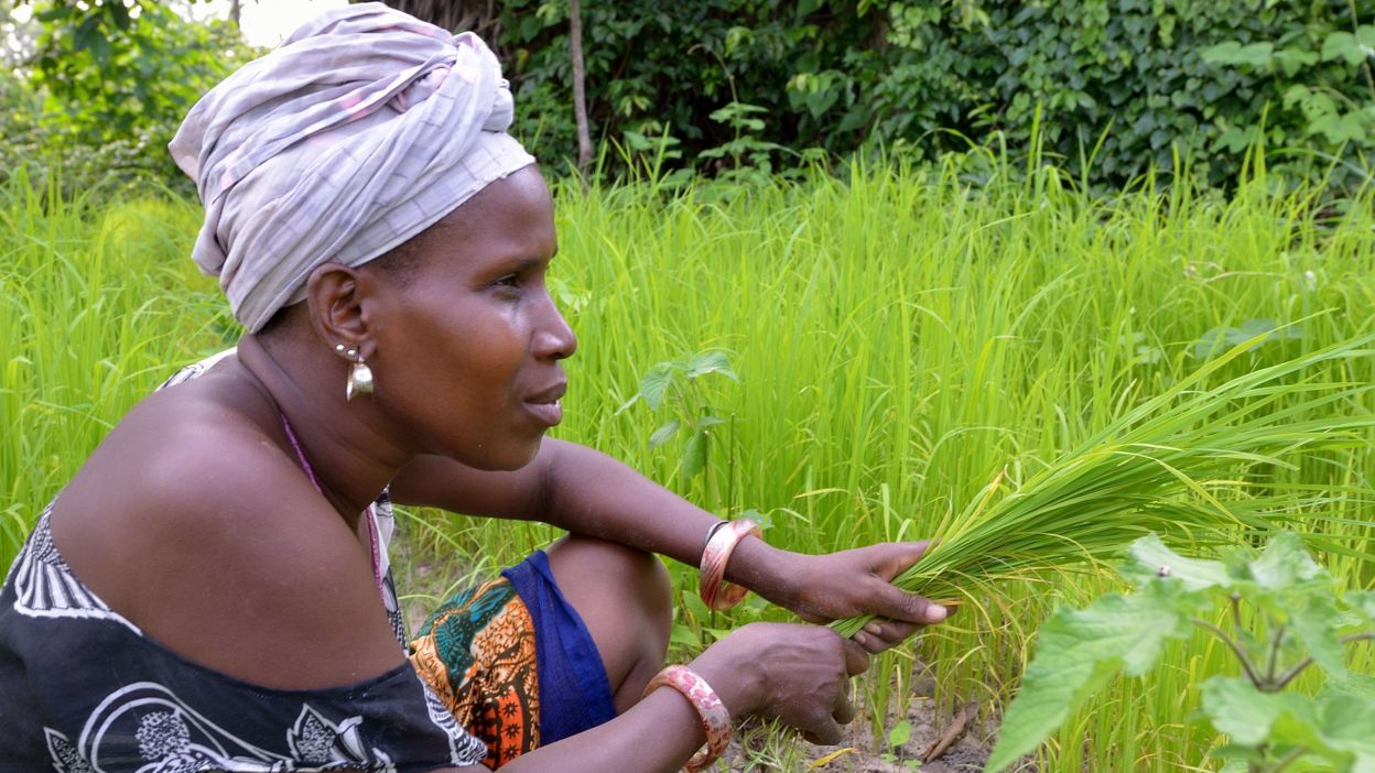 3 entreprises sociales innovantes au Sénégal - RTBF Actus