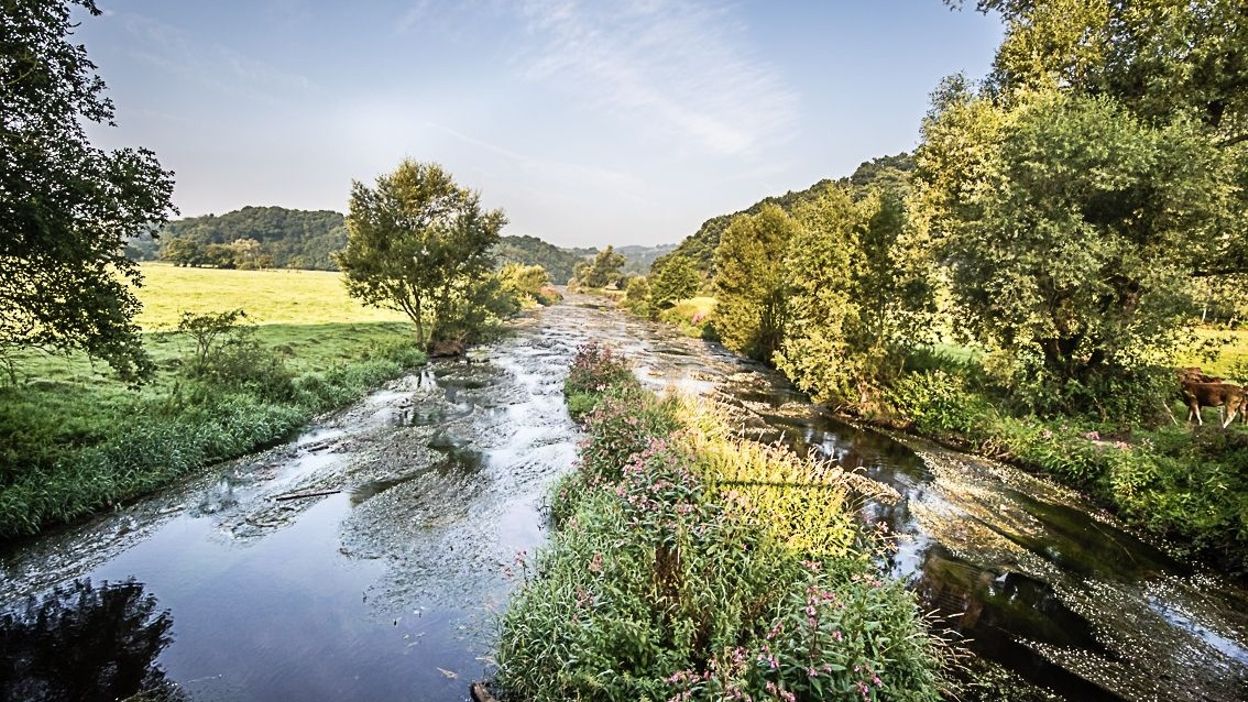 Le Parc national de l'Entre-Sambre-et-Meuse : la nature en XXL au cœur ...