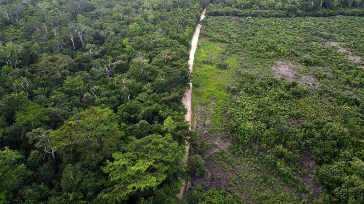 Déforestation : la capitale de l’Amazonie brésilienne noyée par la ...
