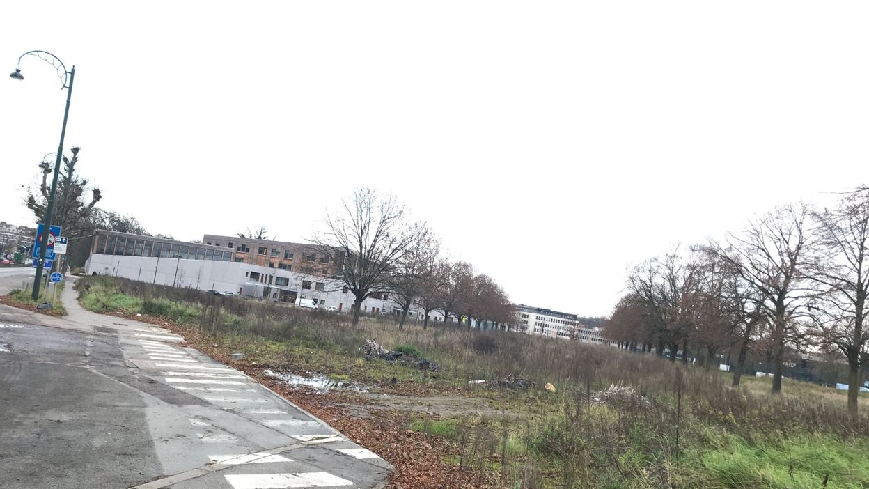Neder-over-Heembeek: une nouvelle école secondaire à pédagogies actives ...