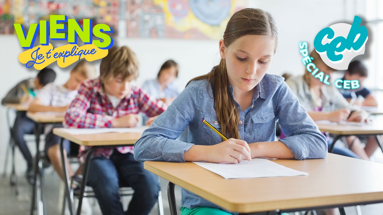 Trucs et astuces pour bien lire et comprendre un texte, au CEB de ...