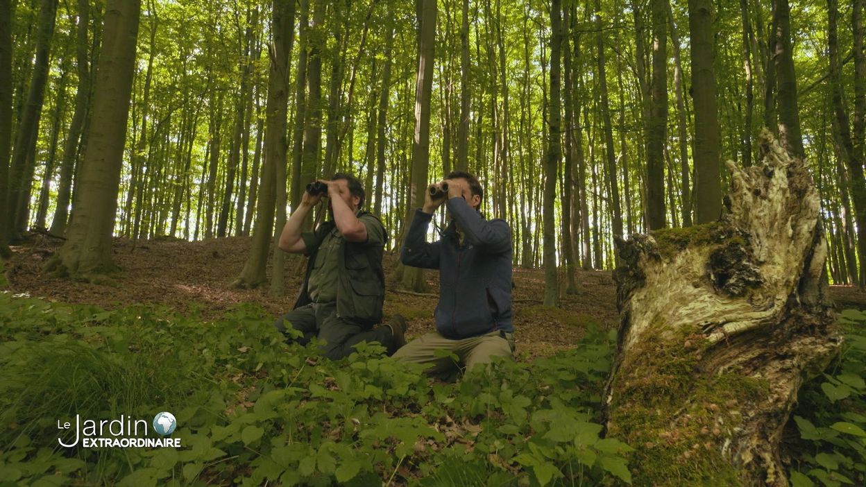 Portrait d'un garde forestier - RTBF Actus