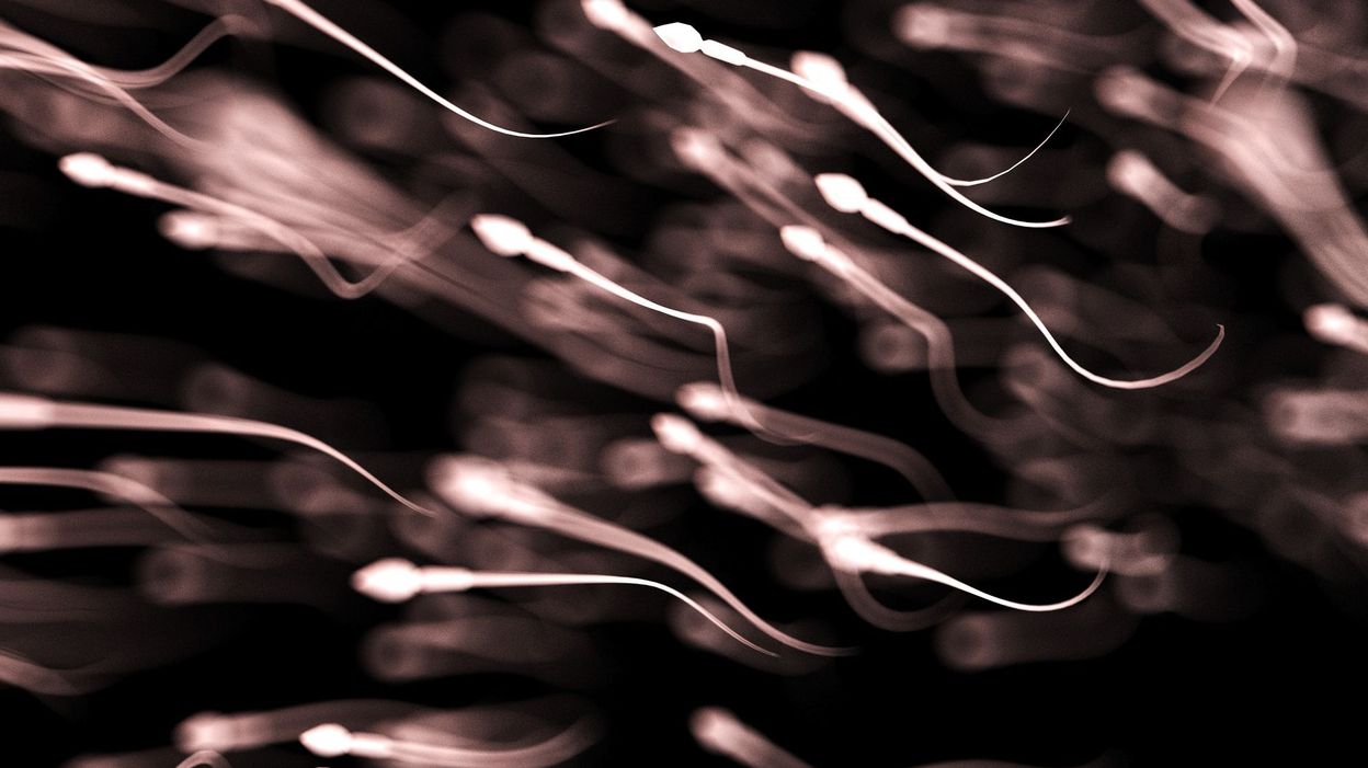 L'infertilité touche une personne sur six, selon l'OMS - RTBF Actus