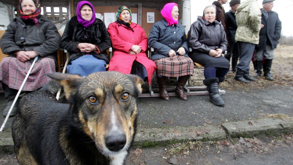 'Dogs of Tchernobyl', le documentaire qui retrace l'histoire méconnue ...