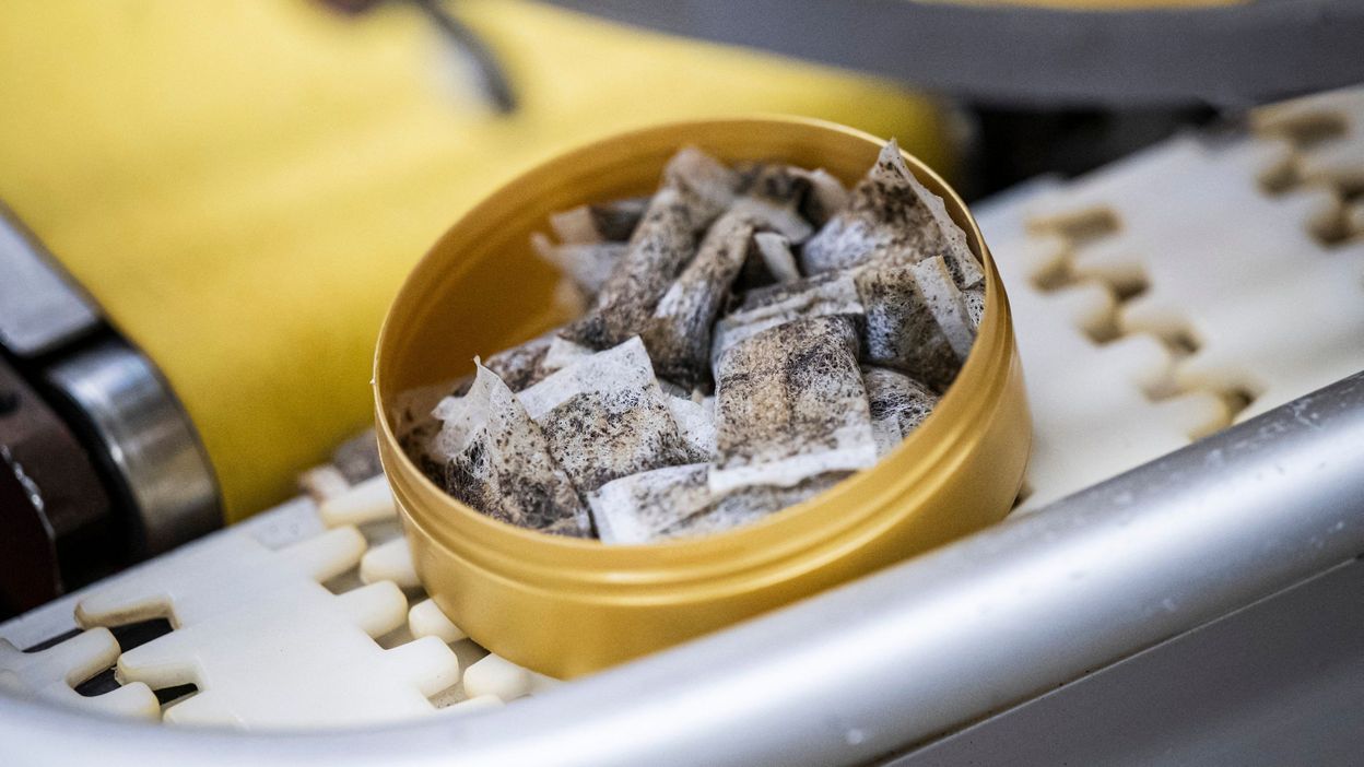 Le Snus, du tabac en sachet : une mode à haut risque pour votre santé ...
