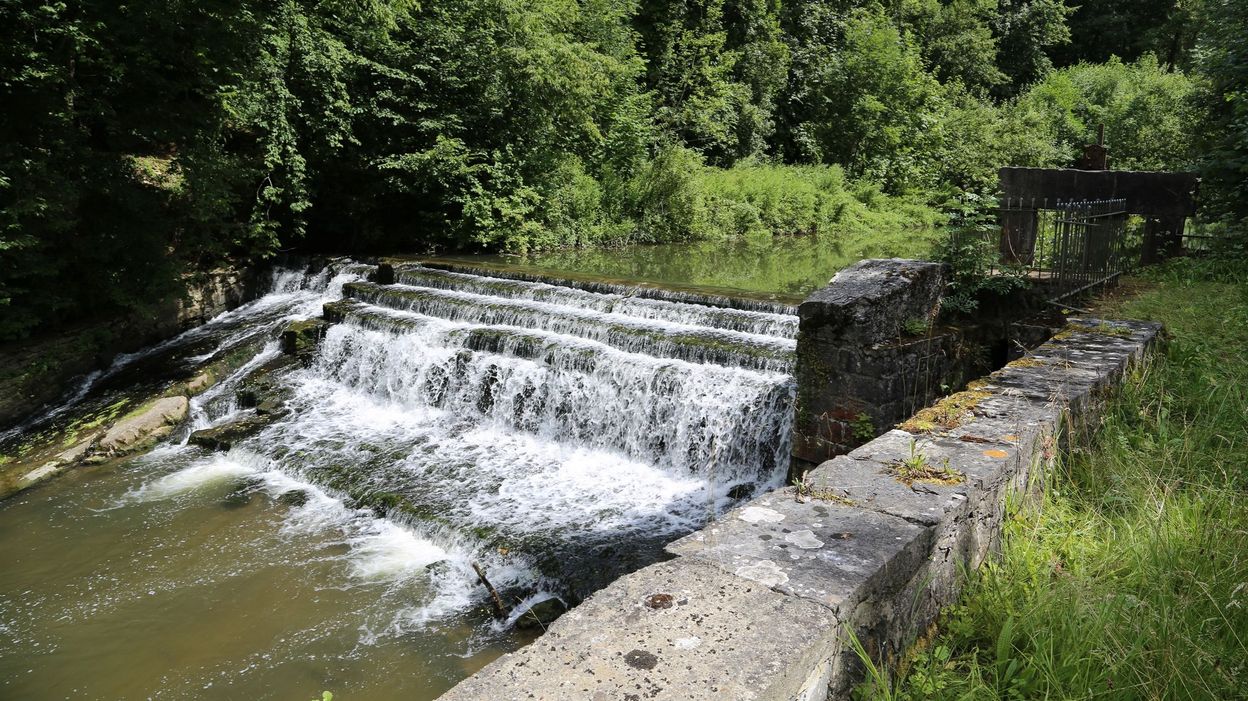 La balade de Carine : La vallée du Samson - RTBF Actus