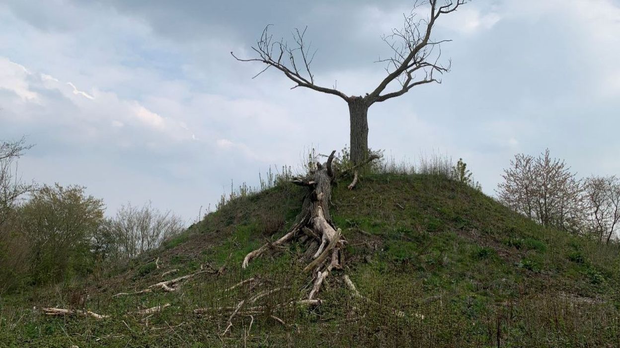 Pourquoi le tumulus gallo-romain de Marcinelle est-il en si mauvais ...