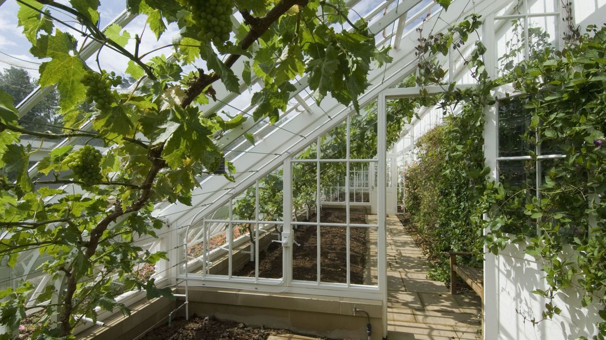 La serre enterrée walipini, un nouveau concept pour nos jardins - RTBF ...