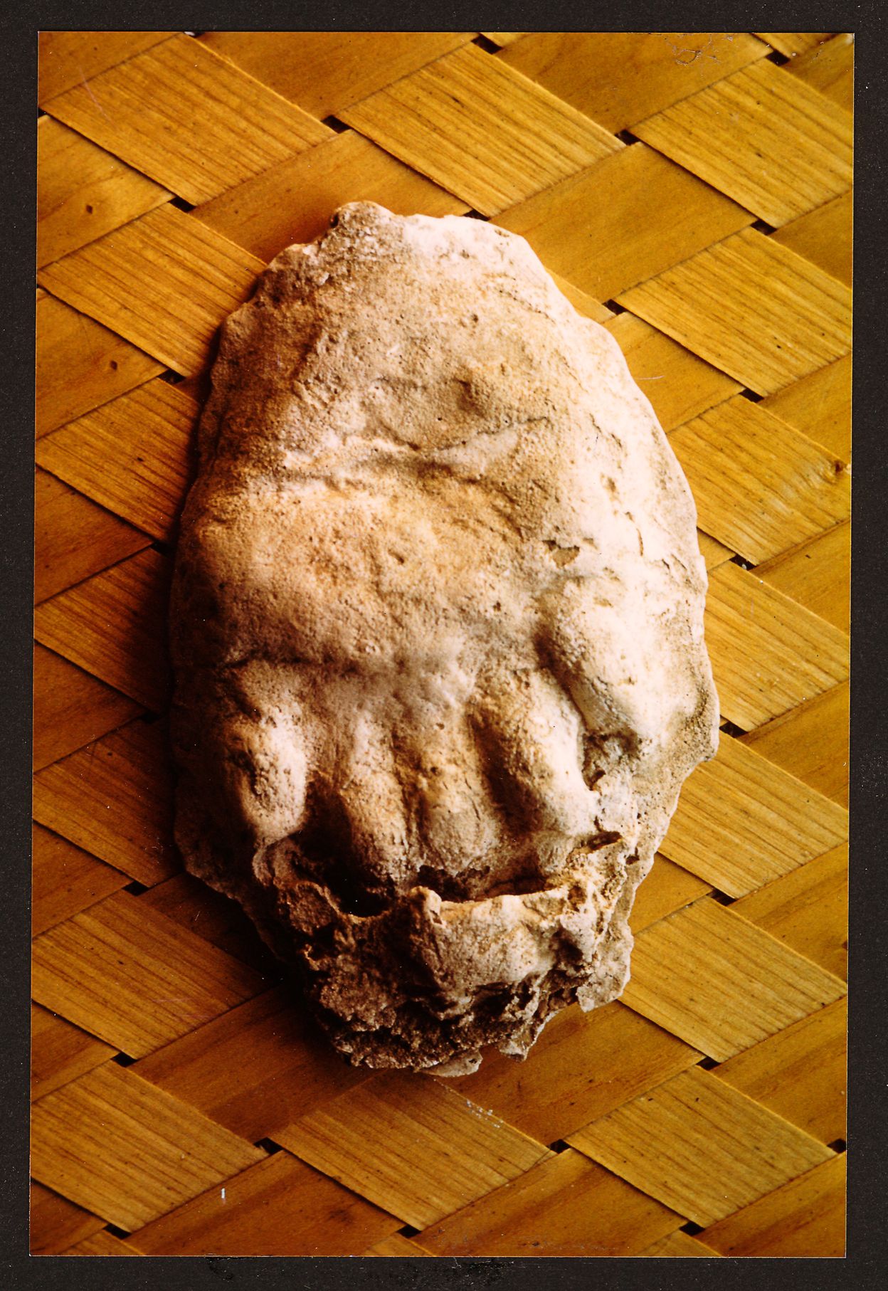 L'Almasty : cet homme sauvage et poilu, cousin du Bigfoot, qui fascine ...