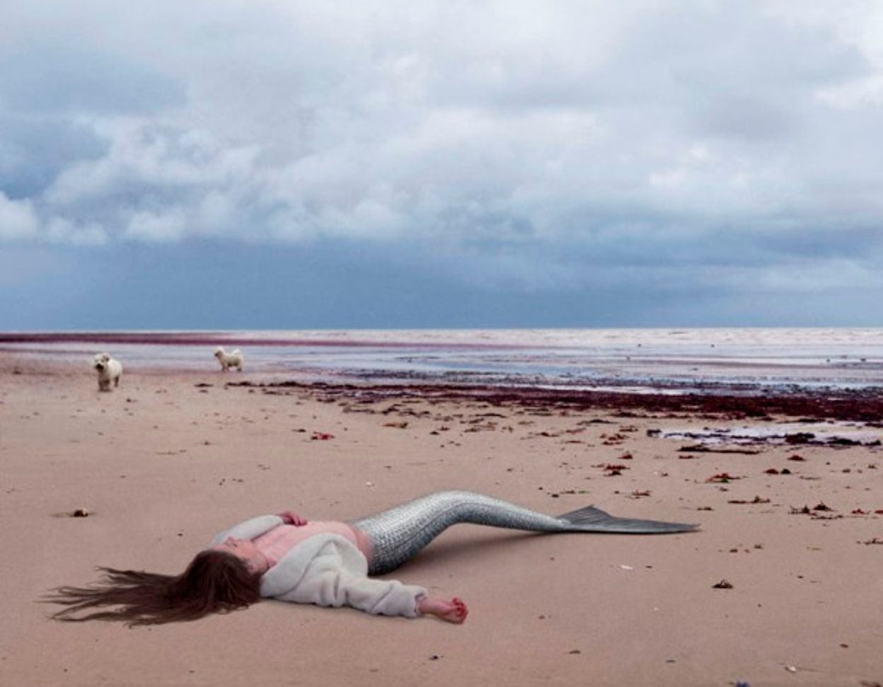 Photos: des sirènes dans la vraie vie - RTBF Actus