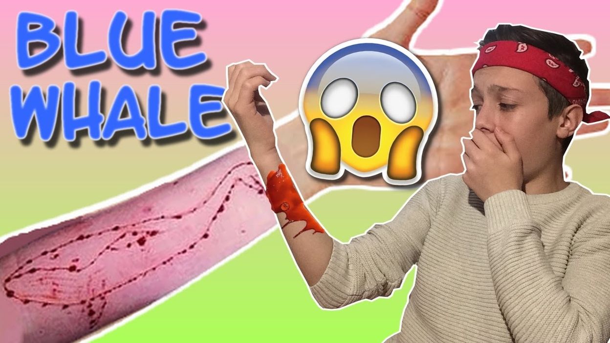 Le Blue Whale Challenge : le désespoir des baleines - RTBF Actus