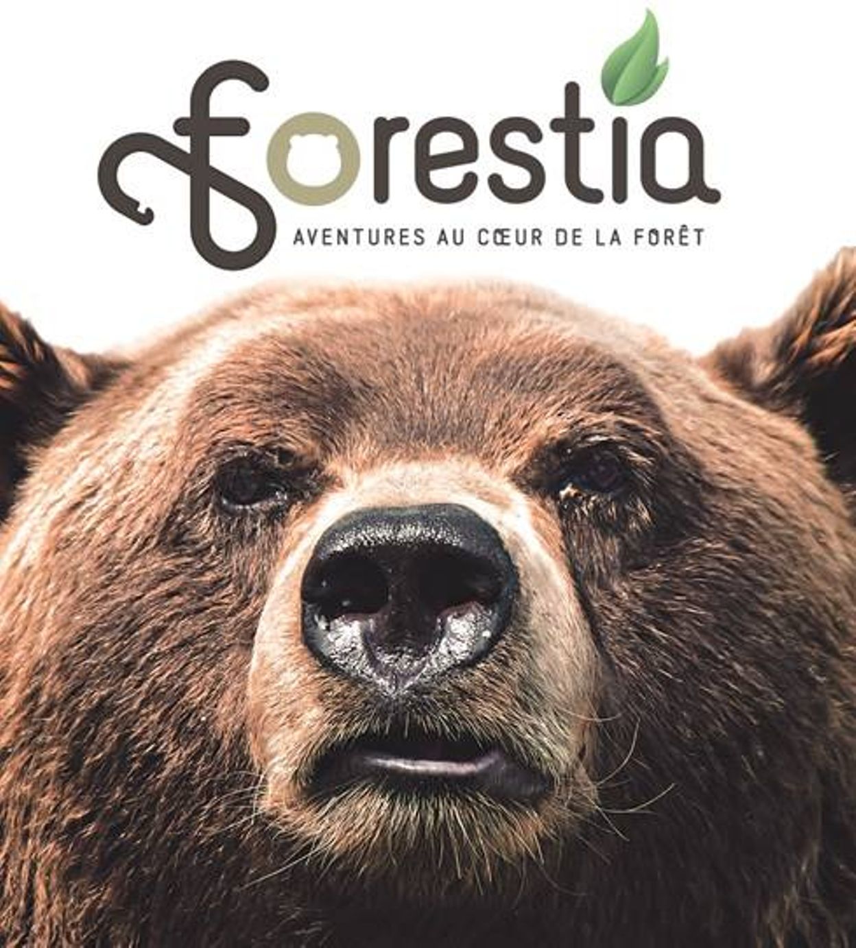 On a testé pour vous le Parc Forestia à Theux - RTBF Actus