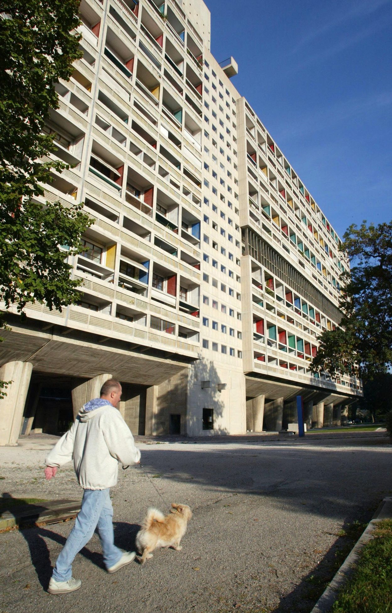 'The Brutalist' au cinéma : la Belgique regorge de cette architecture ...