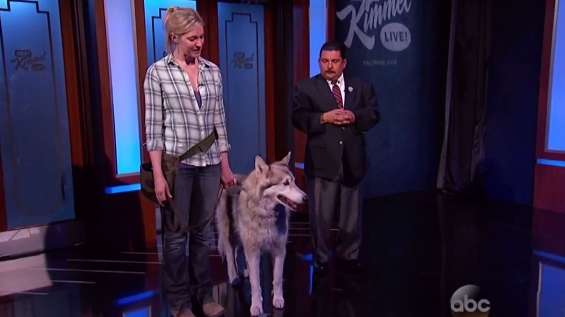 'Le loup de Sotchi', un canular du talk show américain de Jimmy Kimmel ...