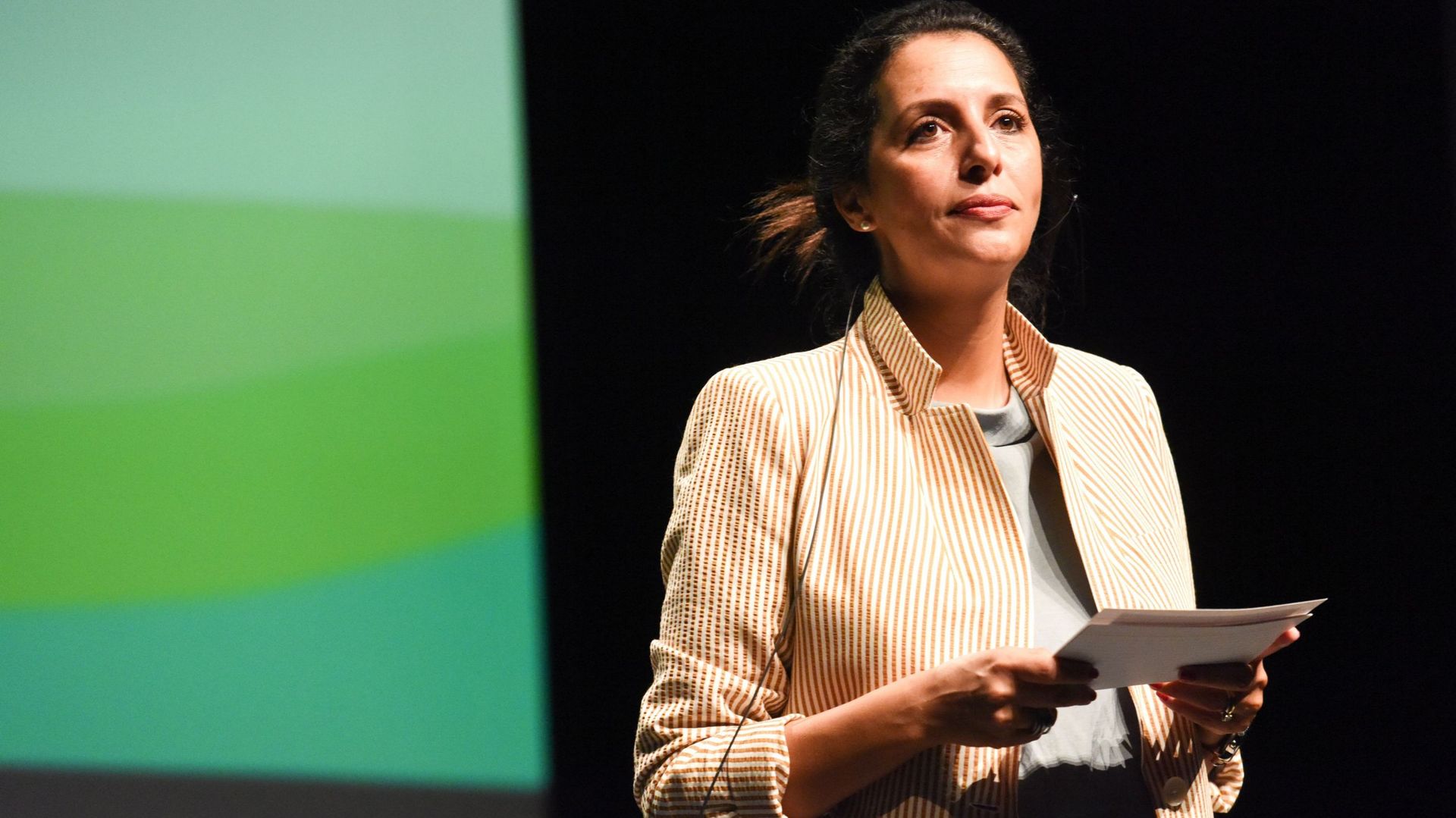 Michel Legrand (Gerfa) à propos de la Cour constitutionnelle: 'deux ...
