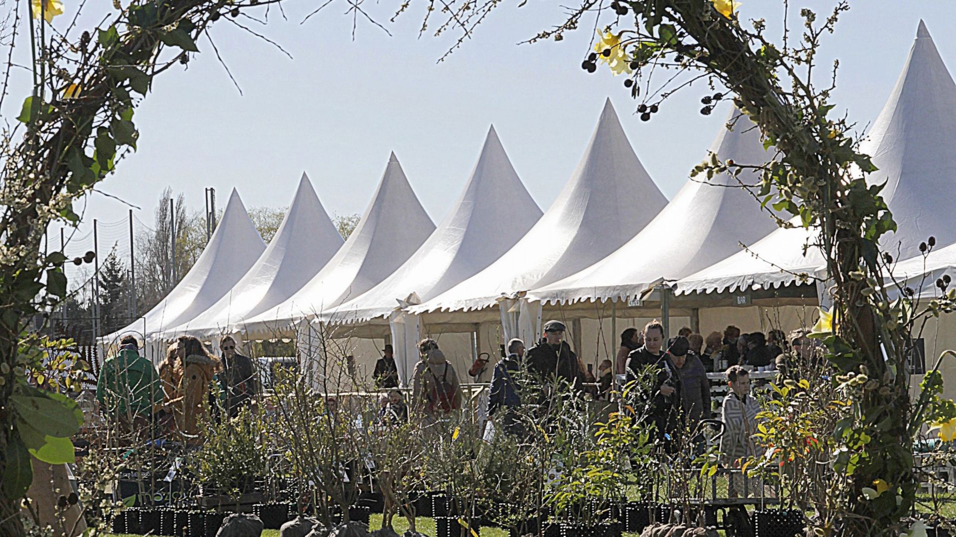 La Fête des plantes de Locon célébrera ces 18 et 19 mars le mariage des ...