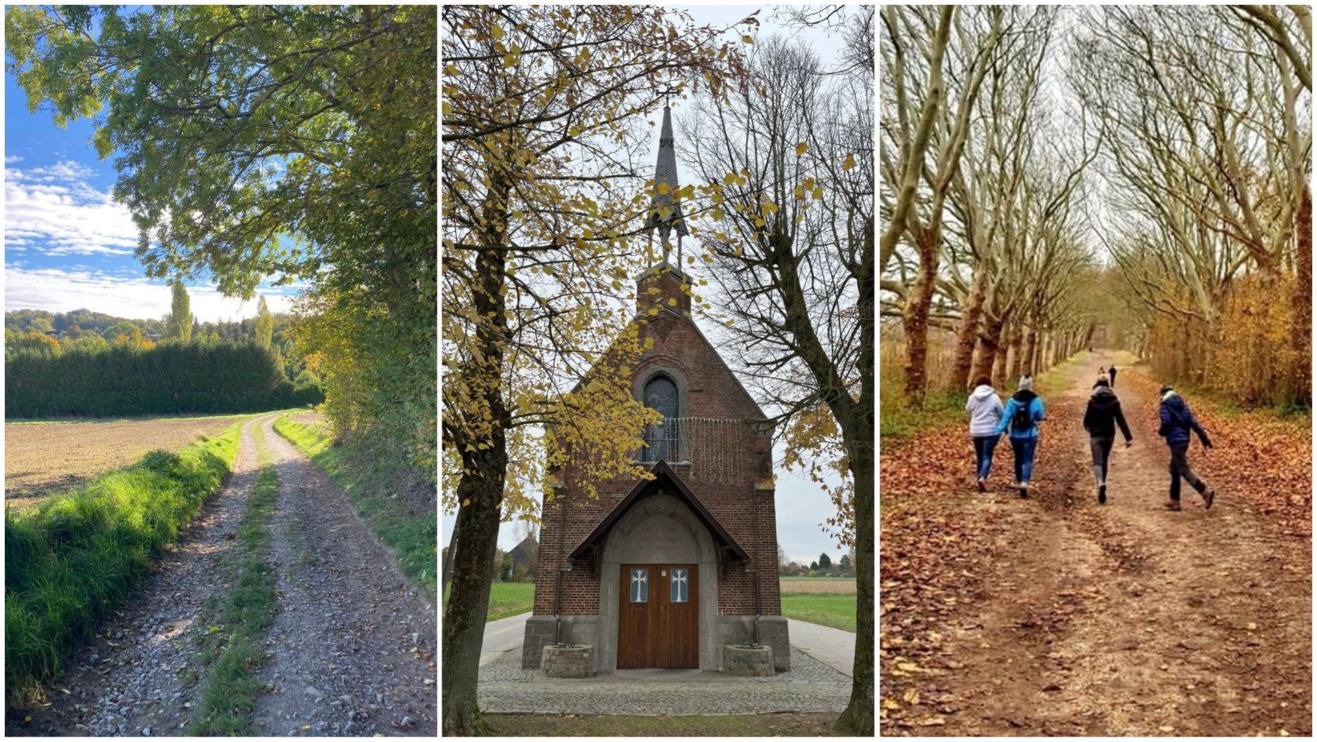 Les 9 marches Adeps du dimanche 30 novembre en Wallonie - RTBF Actus