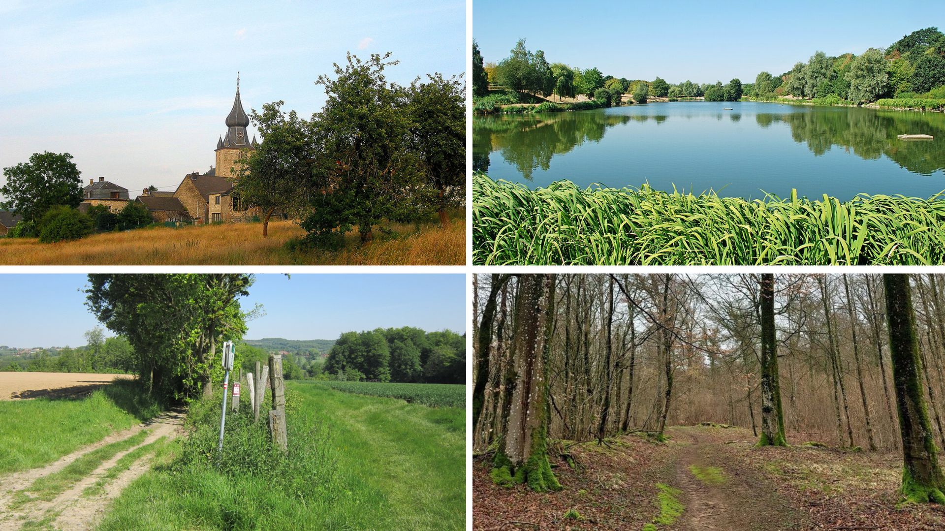 Les 18 marches Adeps du dimanche 9 mars en Wallonie - RTBF Actus