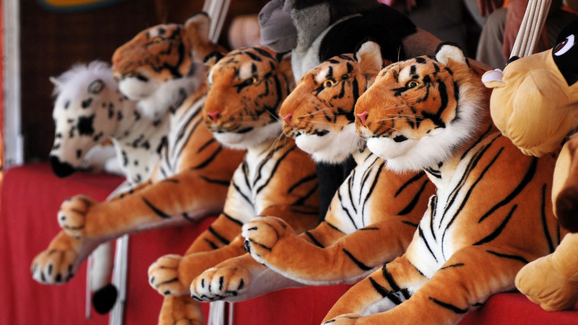 Le retour de la foire de Stockel à Woluwe-St-Pierre - RTBF Actus